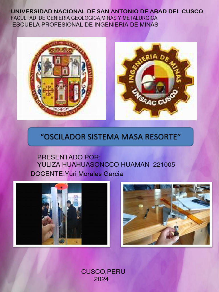 Laboratorio 2 Yuliza 221005 | PDF | Masa | Oscilación