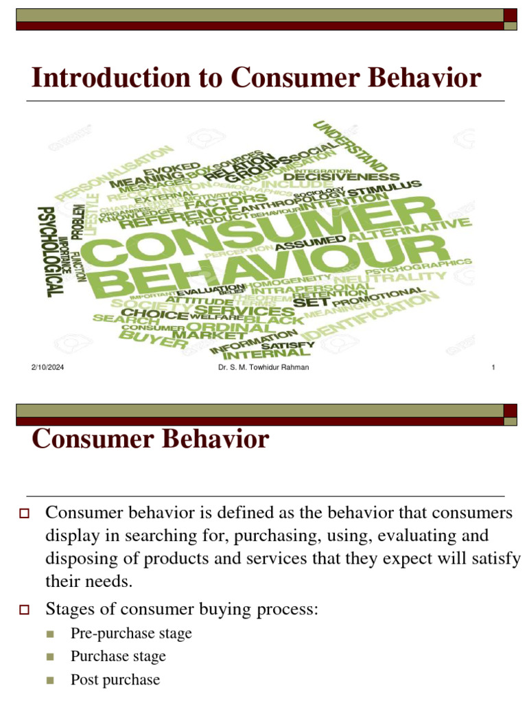 Chap 1 | PDF | Consumer Behaviour | Behavior