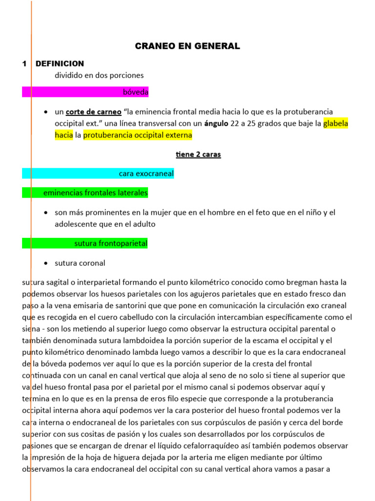 Craneo en General | PDF | Cráneo | Sistema musculoesquelético