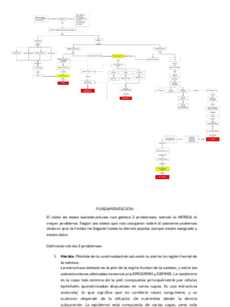 Abp Caso Clinico 1 . | PDF | Piel | Epidermis