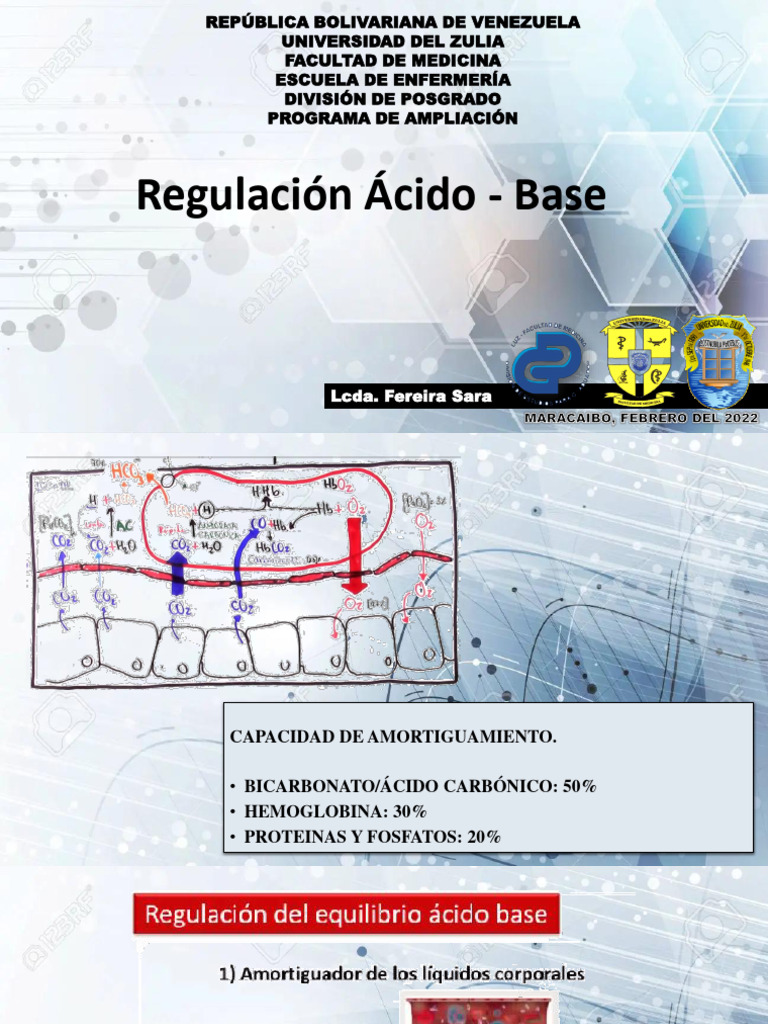 Regulación Ácido-Base en Medicina | PDF