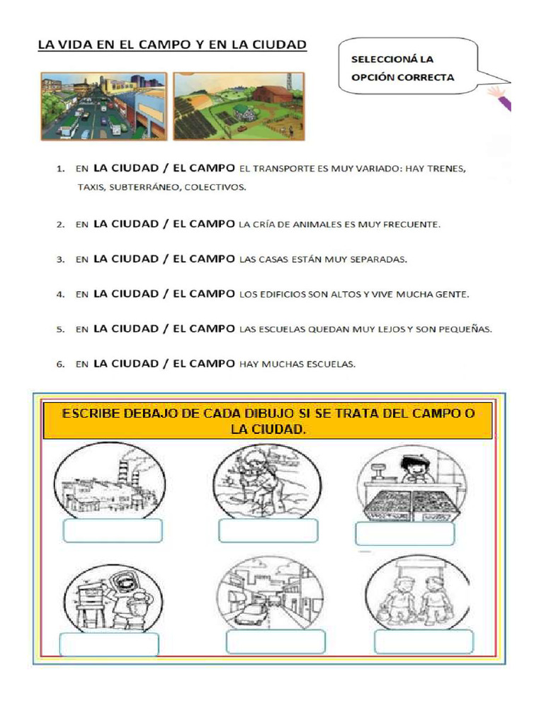 Actividades de Campo y Ciudad para Niños | PDF