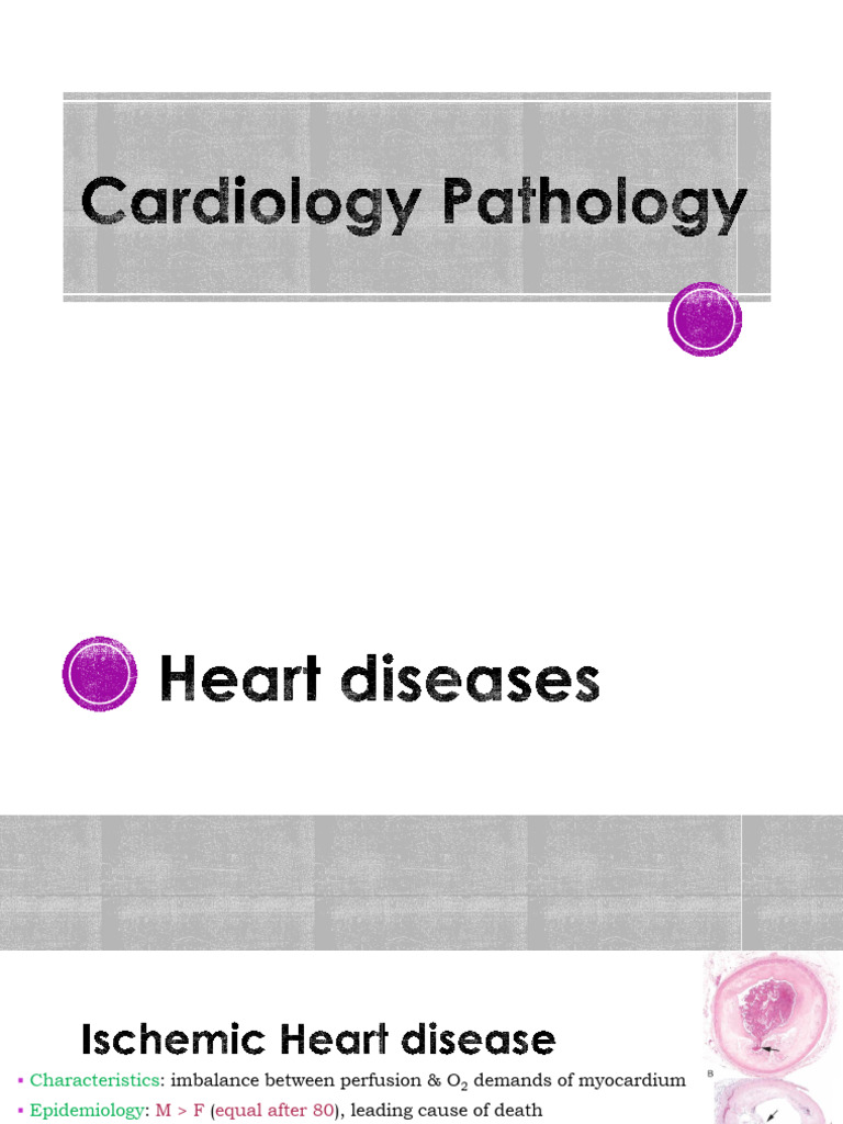 Cardiology Pathology | PDF | Atherosclerosis | Atheroma