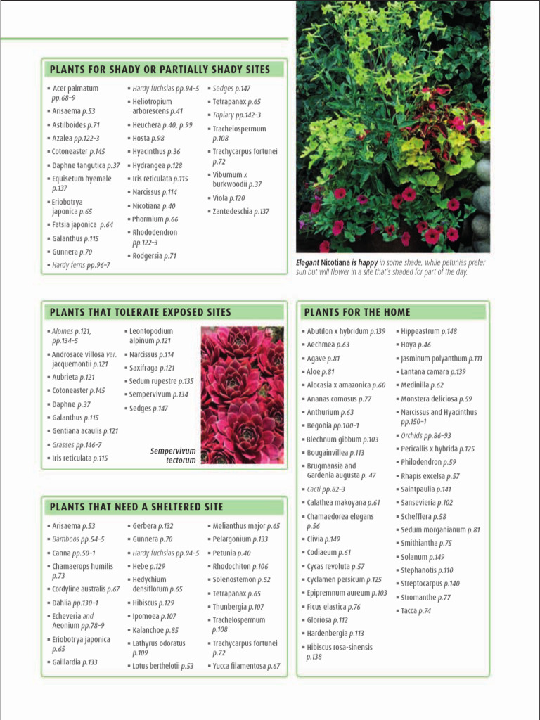 Grow Plants in Pots (Martyn Cox) (Z-Library) (Dragged) | PDF | Plants ...