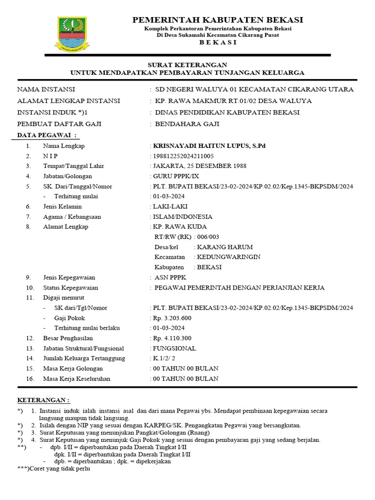 Contoh Pengisian SKUMPTK PPPK 2024 | PDF