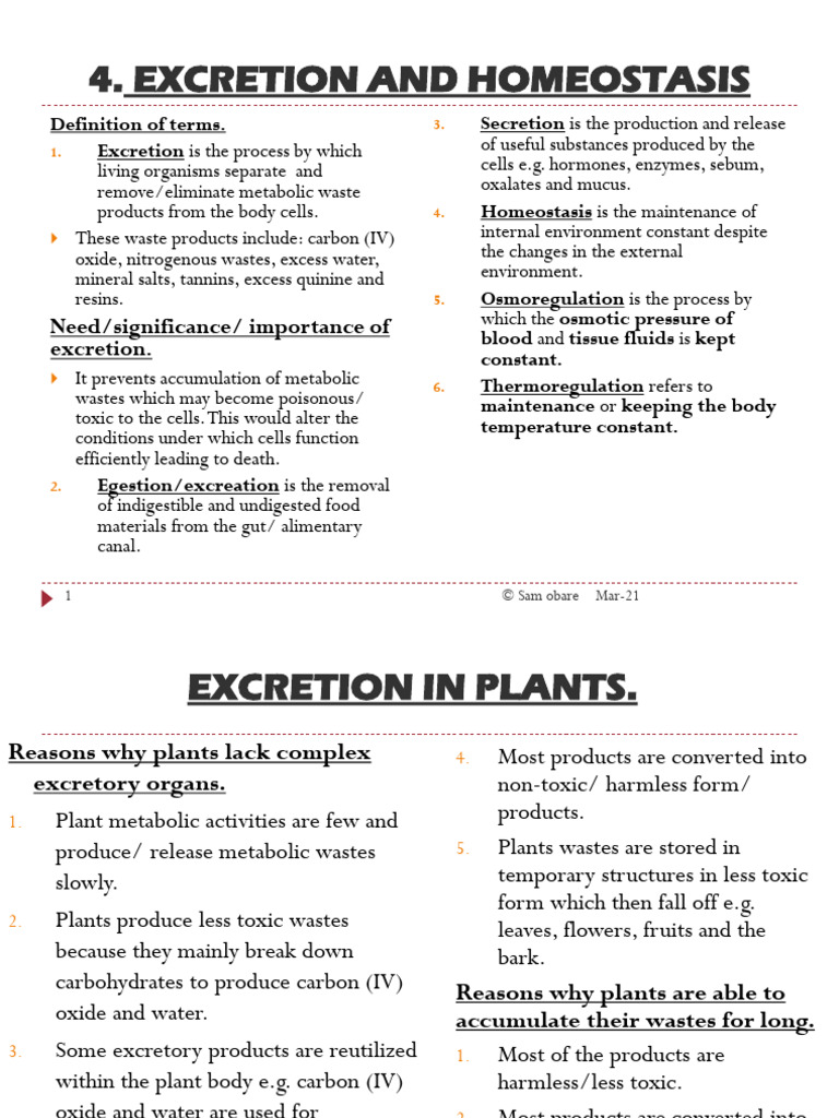 Excretion and Homeostasis in Biology | PDF | Kidney