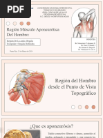 Anatomía de la Región Deltoidea | PDF | Hombro | Articulaciones