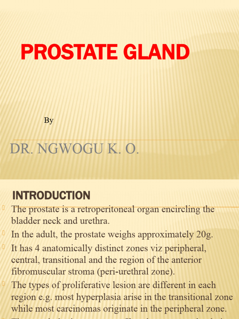PROSTATE GLAND | PDF | Prostate | Prostate Specific Antigen