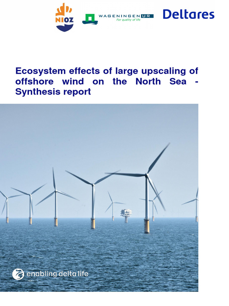 Synthesis Ecosystem Effects of Large Upscaling of Offshore Wind On The ...