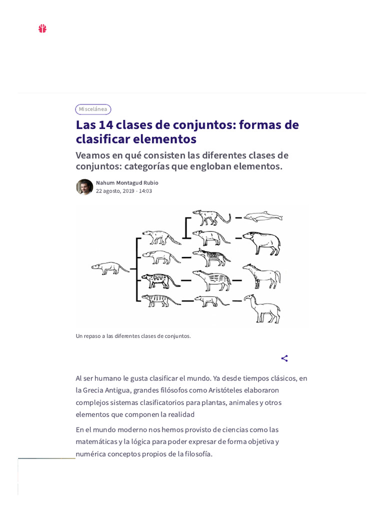 Las 14 Clases de Conjuntos - Formas de Clasificar Elementos | PDF | Conjunto (Matemáticas ...