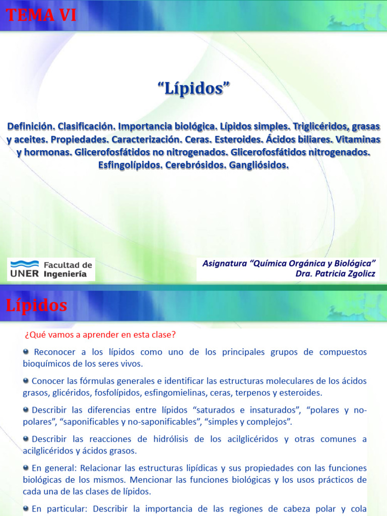 T6-QcaOrgyBiol.-FI-UNER-2C-2020 | PDF | Lípido | Ácido graso