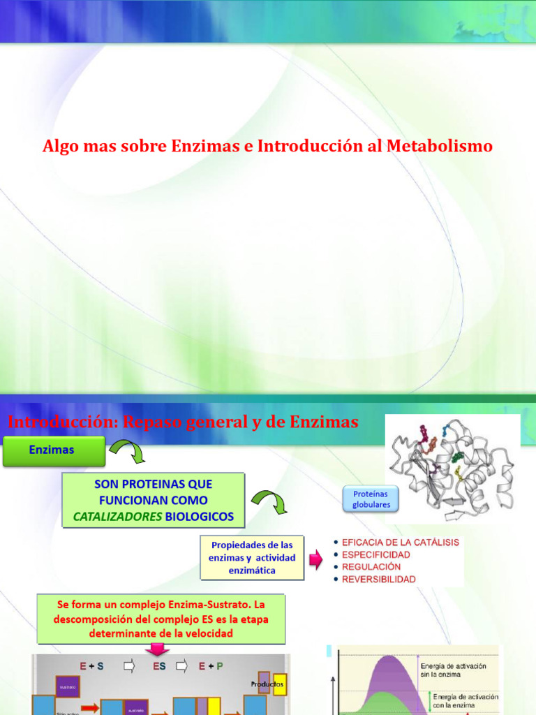 9.2 Tema 8 Parte 2-QcaOrgyBiol. - FI-FUNER-2C-2020 | PDF | Redox ...