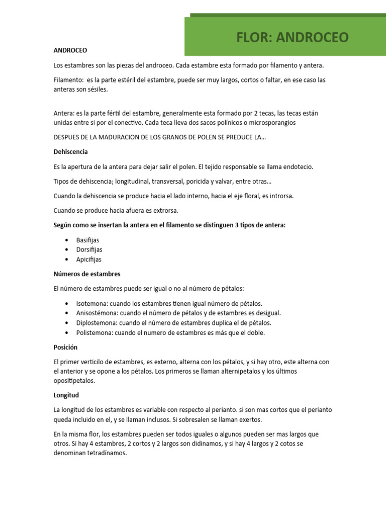Tipos y Estructura del Androceo | PDF | Flores | Botánica