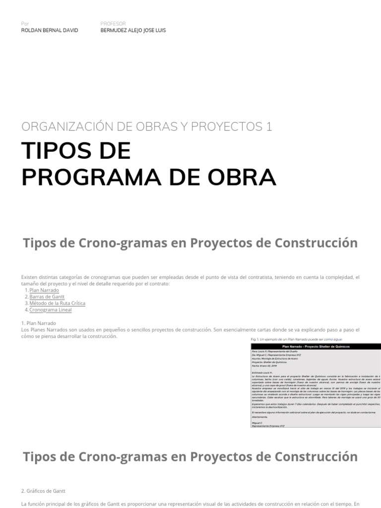 Tipos de Programas de Obra | PDF | Software | Planificación