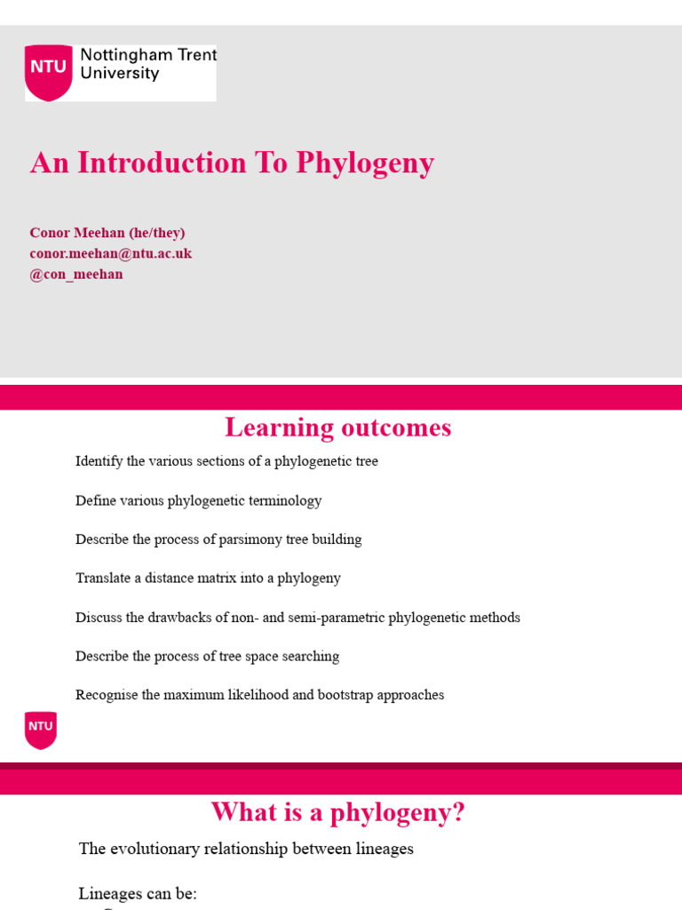 Intro To Phyl o Genetics | PDF | Phylogenetic Tree | Molecular Phylogenetics