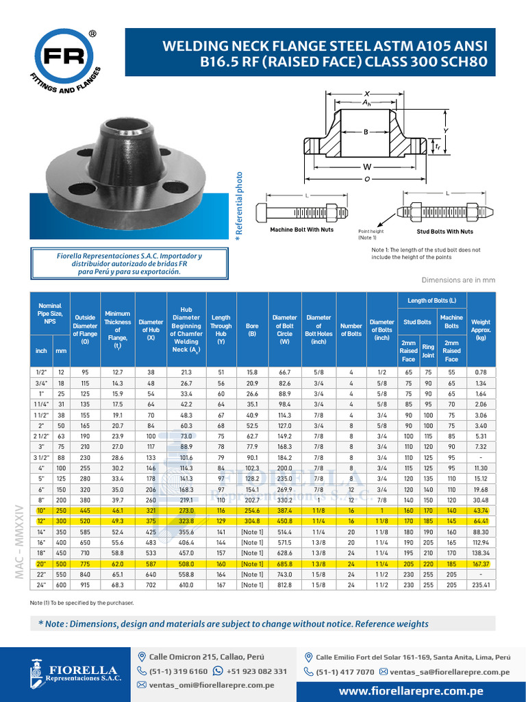 bridas WN clase 300 | PDF | Screw | Industrial Processes