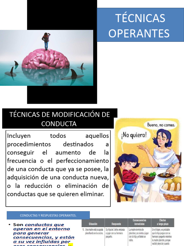 Tecnicas Operantes Descripcion para La Practica | PDF | Comportamiento ...