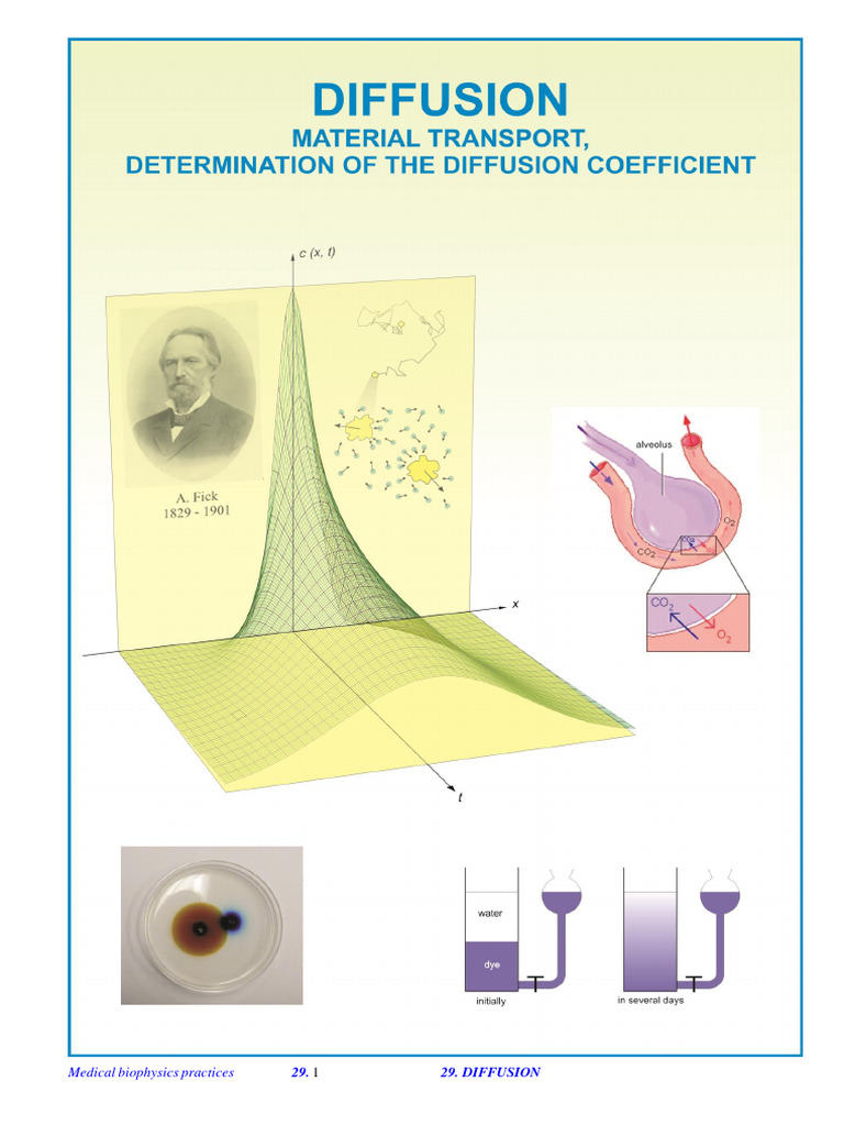 Diffusion | PDF | Diffusion | Brownian Motion