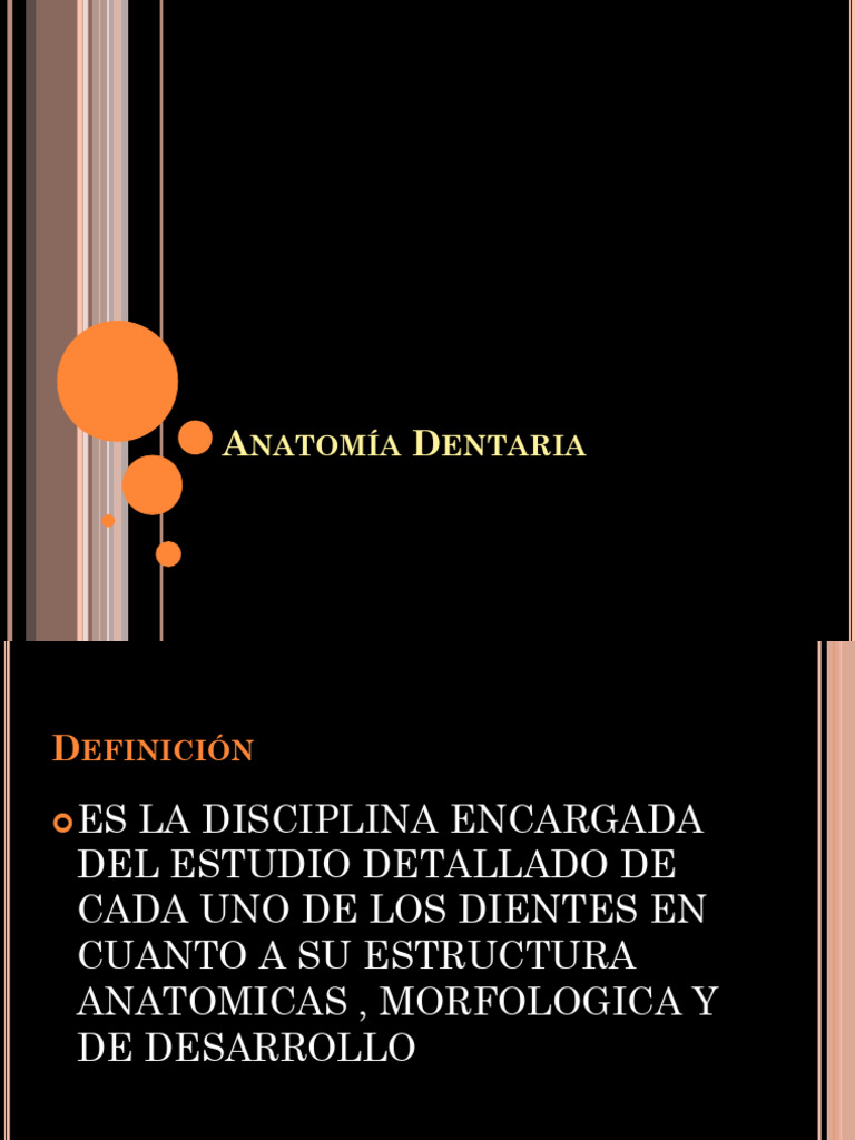 Anatomia Dental Generalidades | PDF | Diente | Odontología