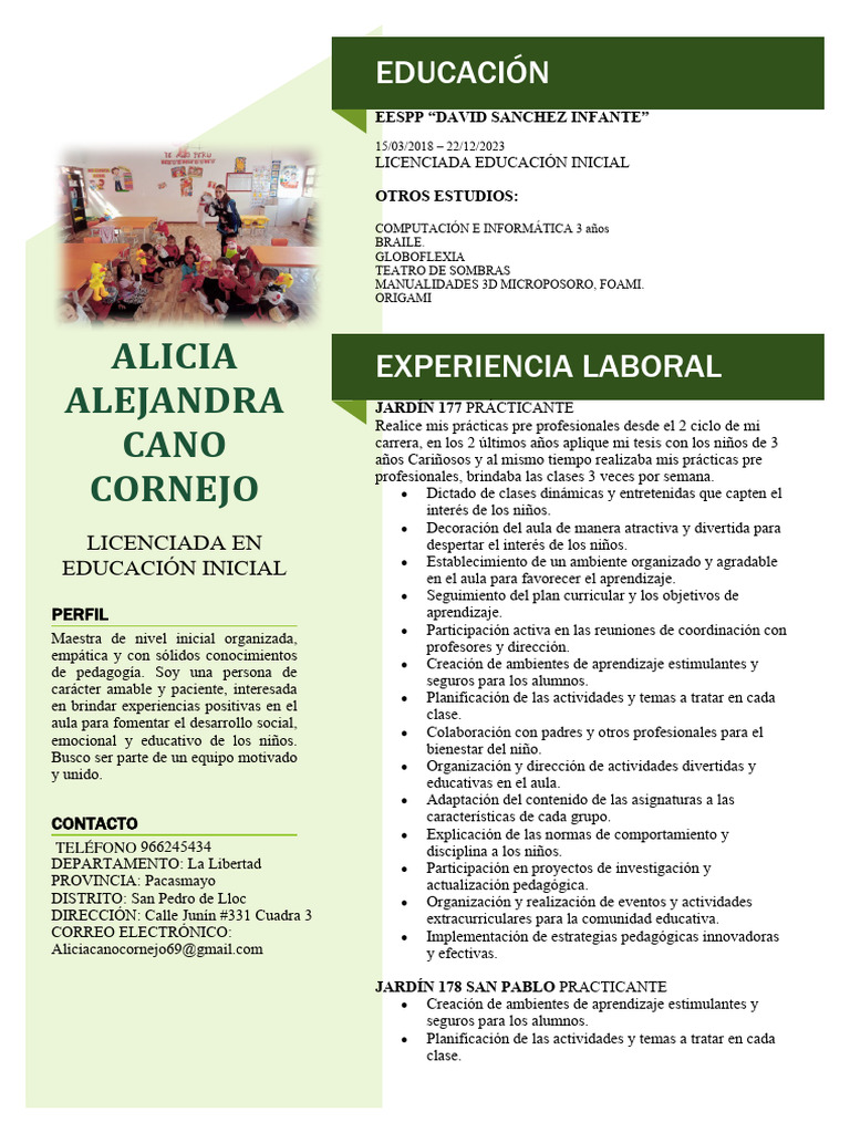 Curriculo Alicia Cano | PDF | Educación de la primera infancia | Salón ...