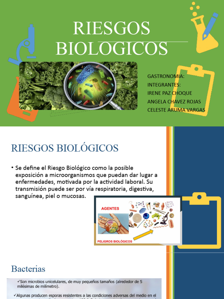 Riesgos Biologicos | PDF