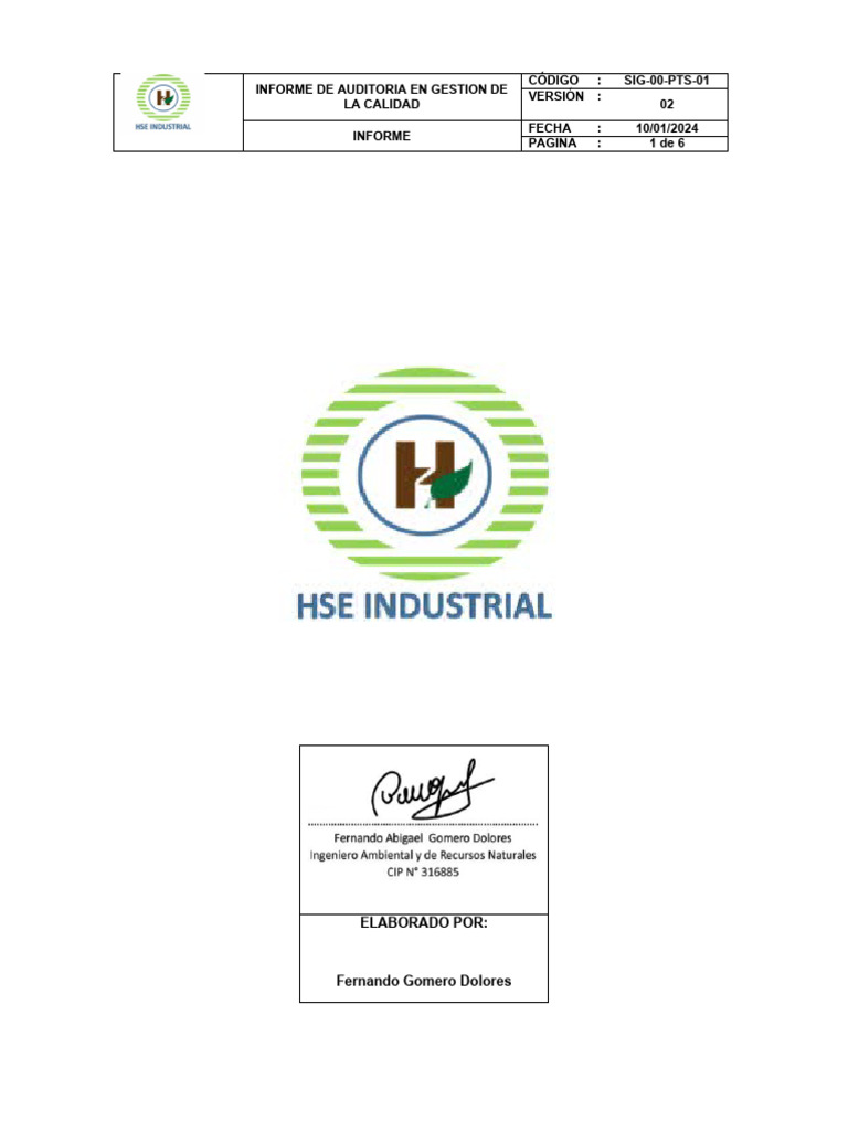 Informe de Auditoria Calidad | PDF | Calidad (comercial) | Sistema de manejo de calidad