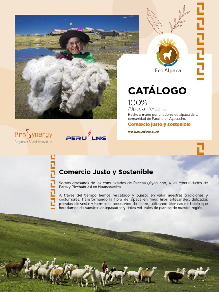 AF - Catálogo - PERU LNG - 02 | Descargar gratis PDF | Ropa