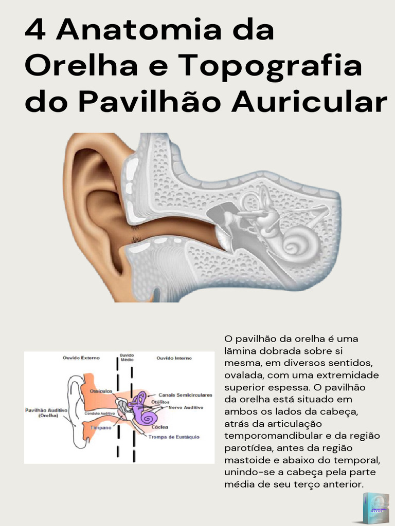 4 Anatomia Daorelha e Topografiado Pavilhão Auricular | PDF | Orelha ...