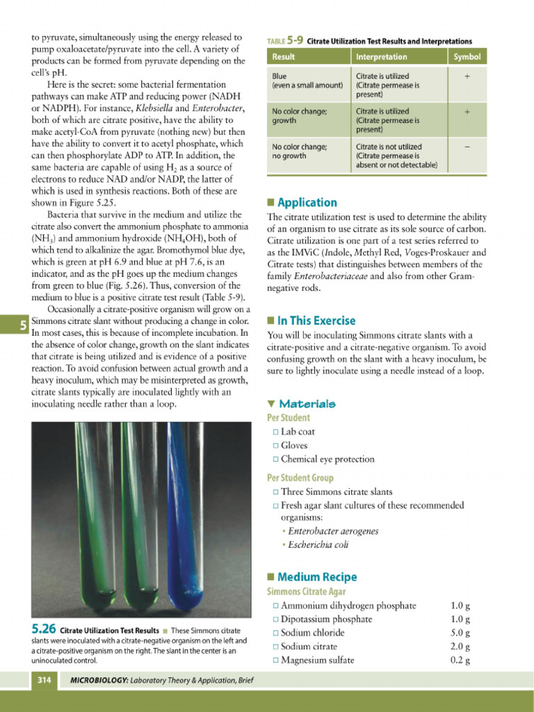 Microbiology Laboratory Theory and Application Brief Part 3 | PDF