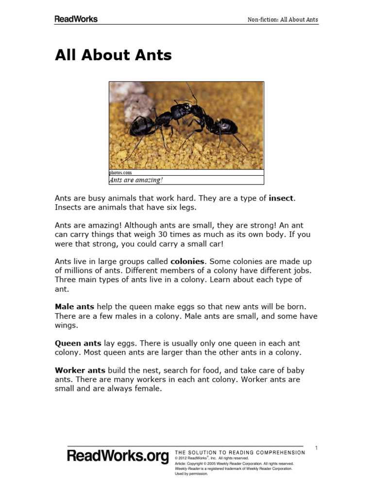 Ants | PDF | Ant | Insects