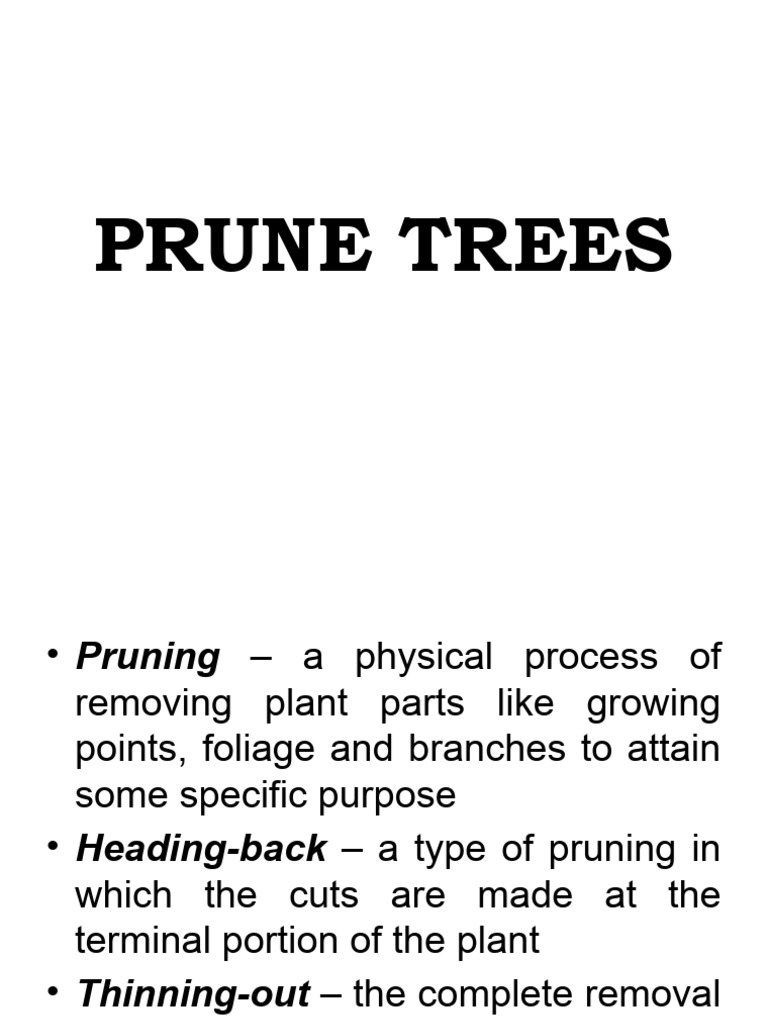 Prune Trees Pdf Pruning Agriculture