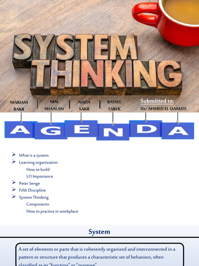 Systems Thinking in Learning Organizations | PDF | System | Learning