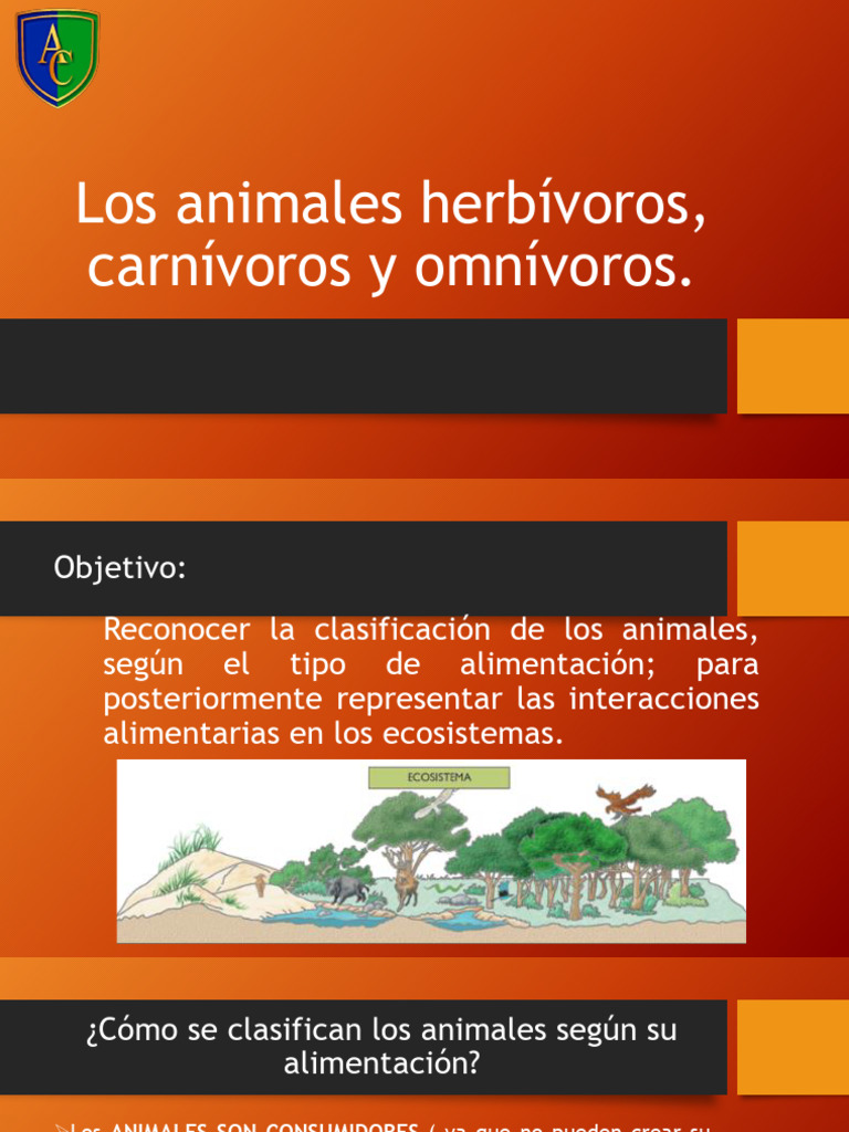13 Al 16 de Oct. Animales Herviboros, Carnivoros y Omnívoros (CLASE 2 ...