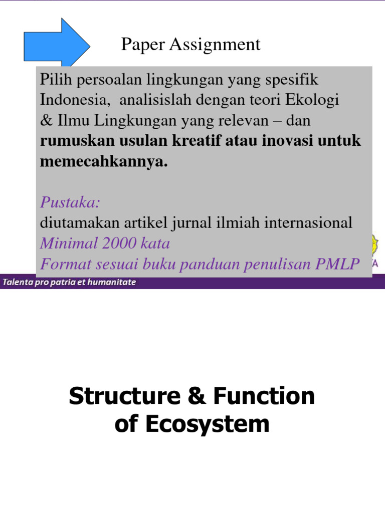 Ecosystem-Structure-Function | PDF | Food Web | Environmental Science