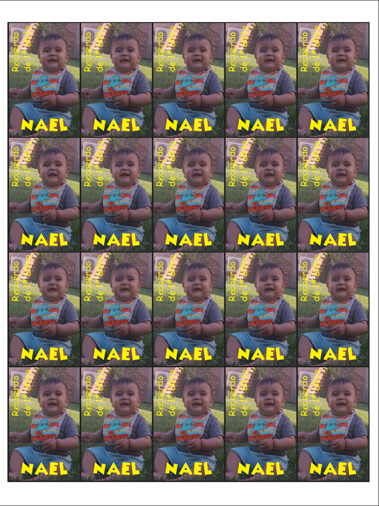Nael Nael Nael Nael Nael | PDF
