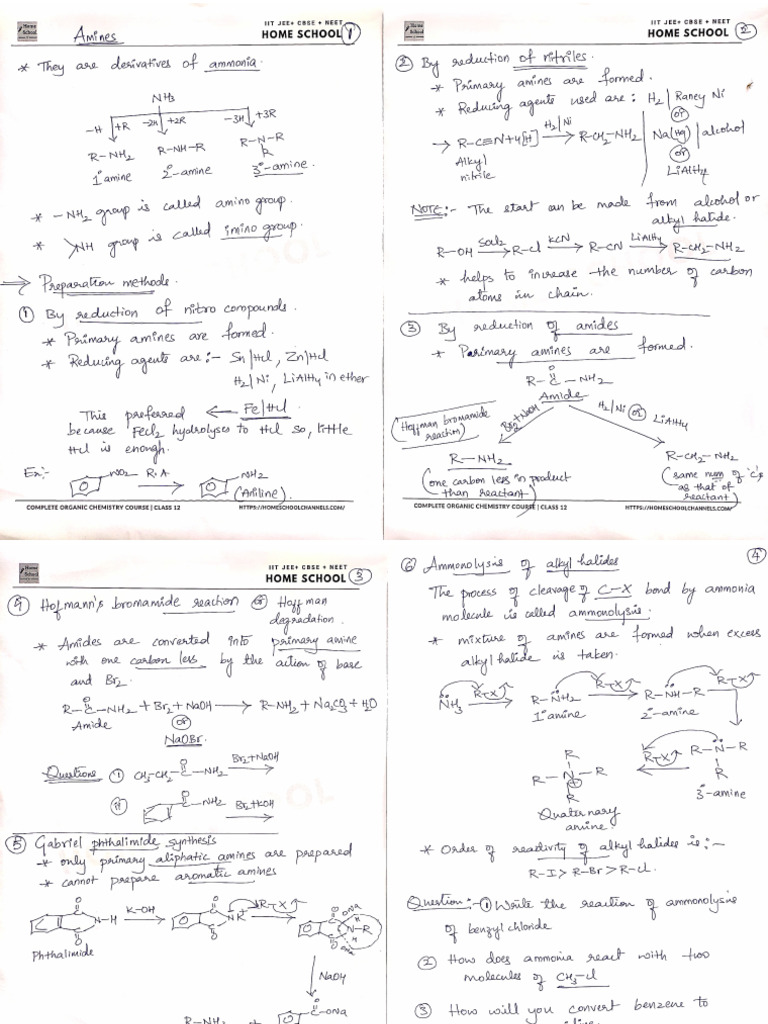 Amines Notes | PDF