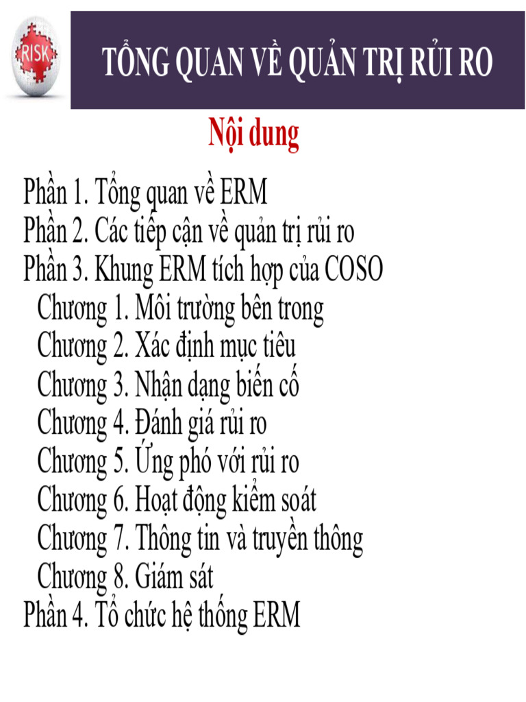Slide - Quan Tri Rui Ro Doanh Nghiep - Tham Khao Final | PDF