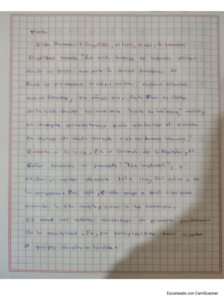 Yerko Alejandro Quispe Quisbert 6to de Secundaria | PDF