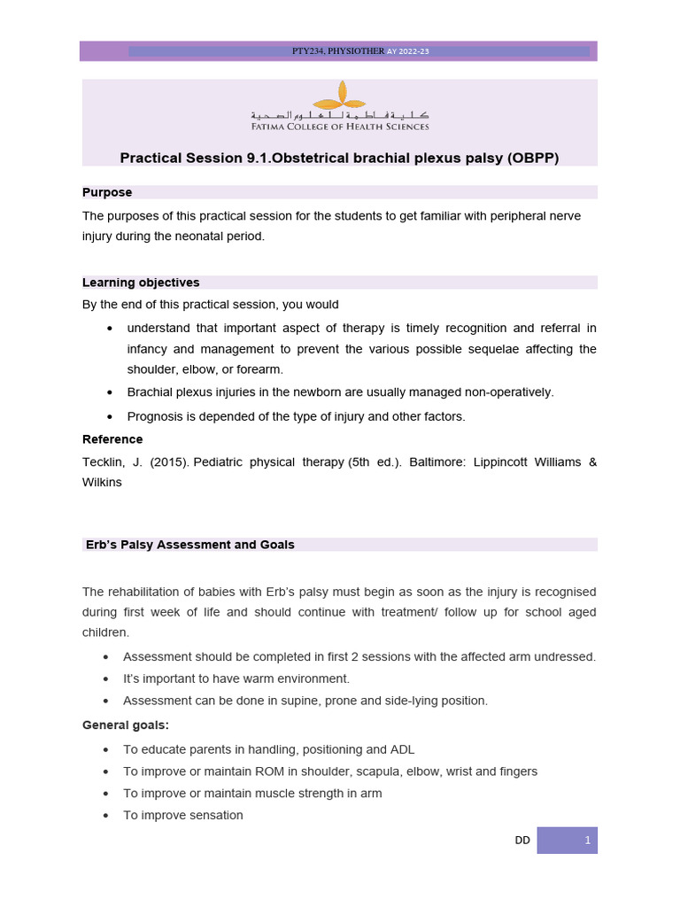 9.1. Pract. Erb Palsy Worksheet | PDF | Anatomical Terms Of Motion ...