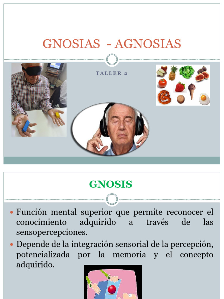 GNOSIAS-AGNOSIAS A22 | PDF | Neurociencia | Cerebro