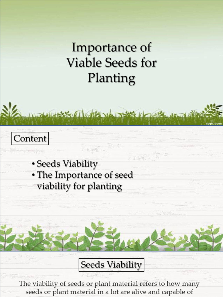 Importance of Seed Viability for Planting | PDF