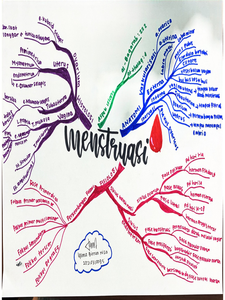 Iqlima Birrun Nisa - 20210310095 - Tugas Tutorial Skenario 1 BLOK 7 | PDF