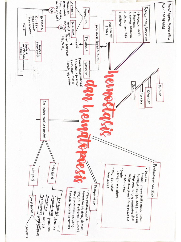 Iqlima Birrun Nisa - 20210310095 - Tugas Tutorial Skenario 3 BLOK 4 | PDF