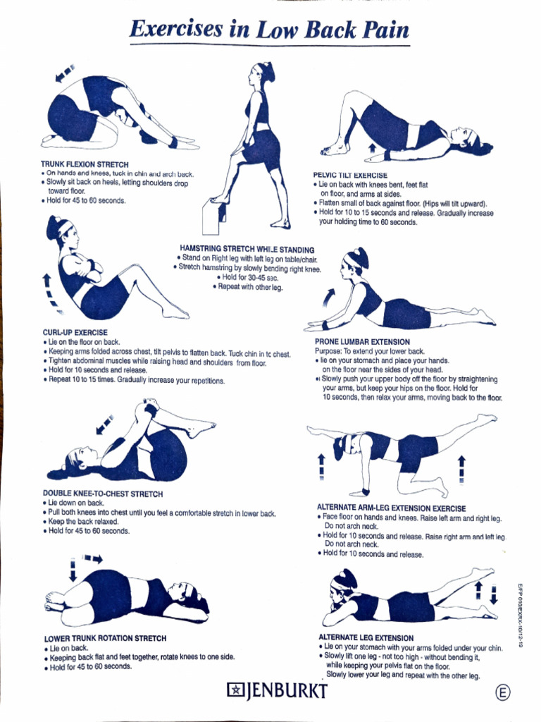 Exercise | PDF | Anatomical Terms Of Motion | Pelvis