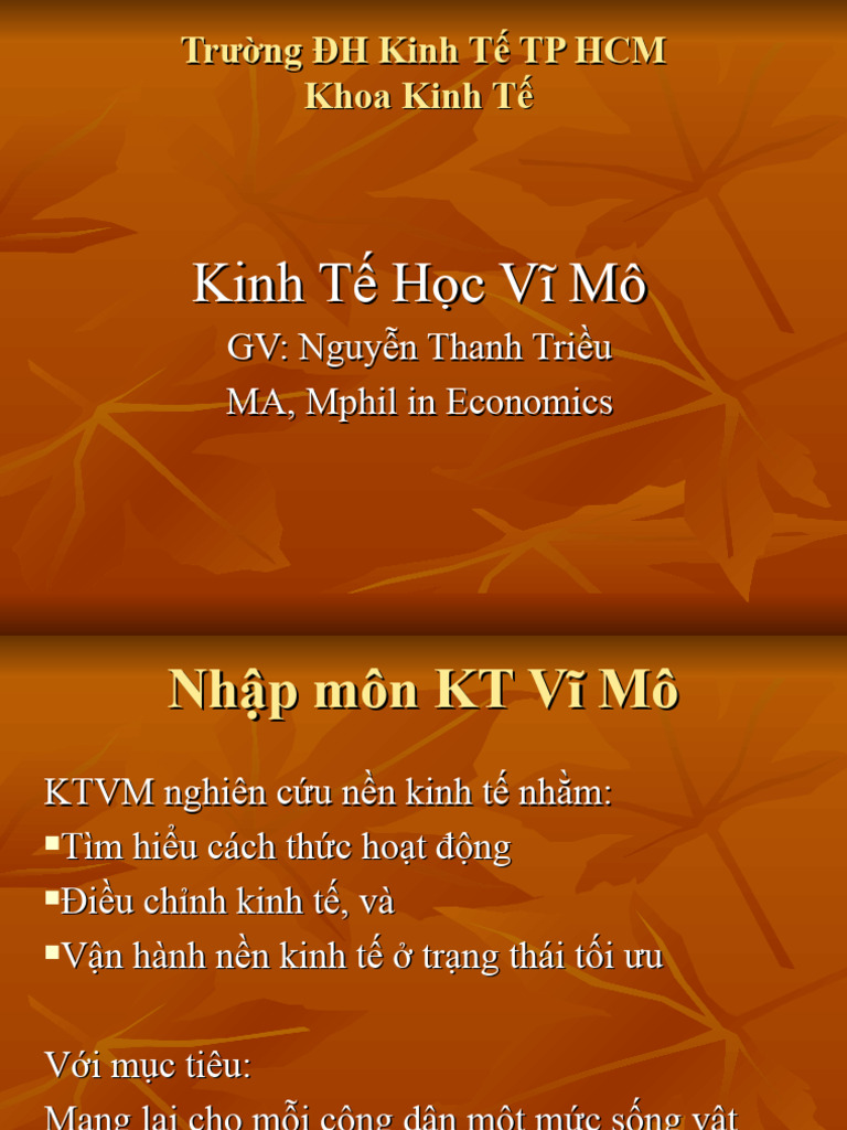 Ch. Giới Thiệu Nền Kt Kt Vĩ Mô | PDF