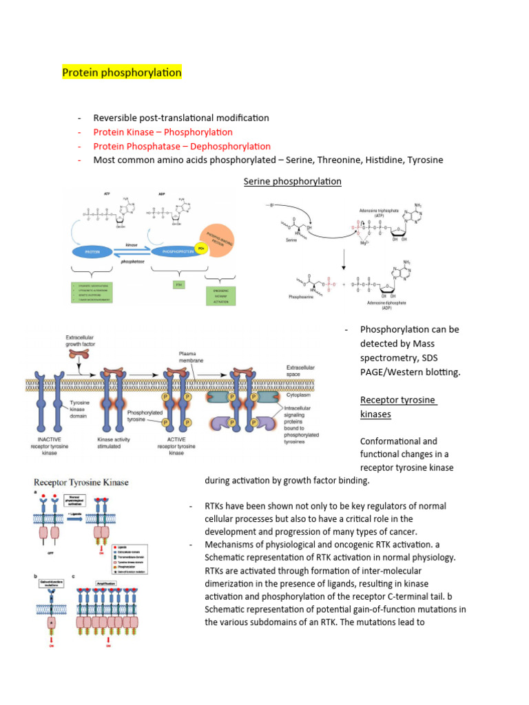 PTMs | PDF | Regulation Of Gene Expression | Dna Methylation