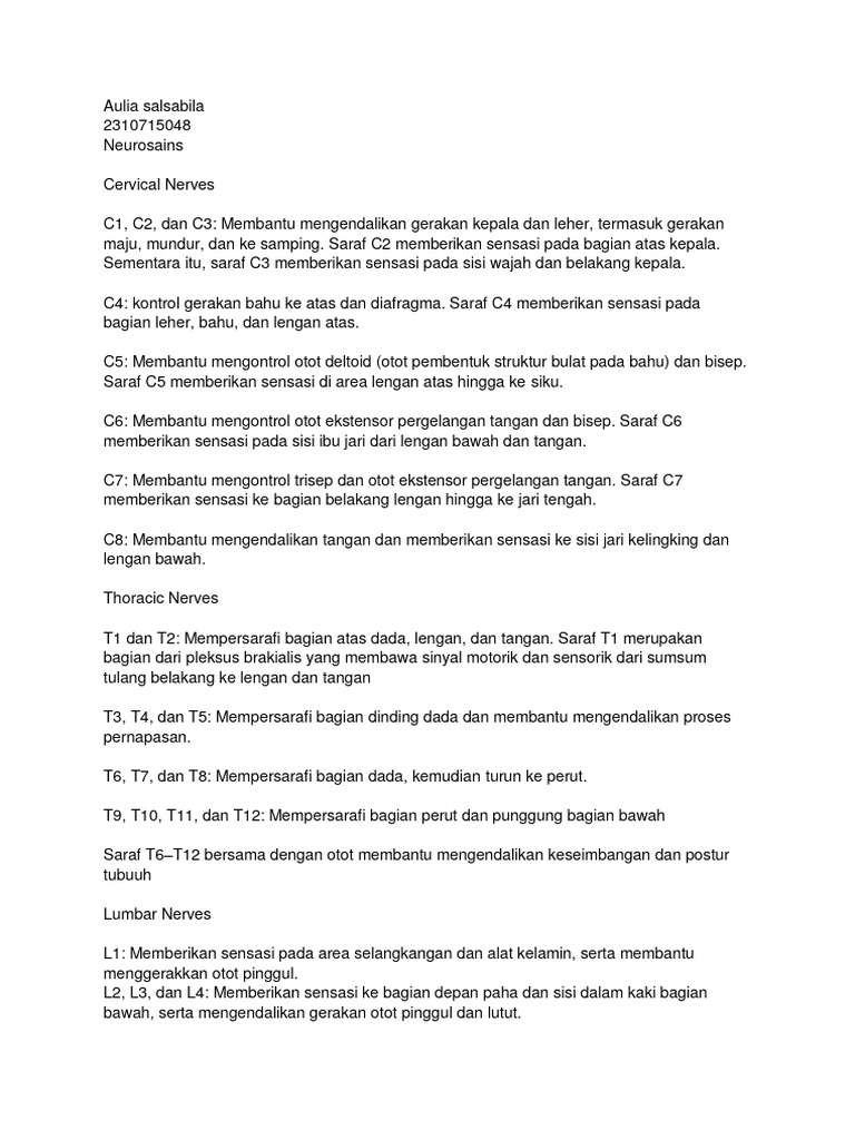 31 Nerves Spinal Dermatom Miotom | PDF