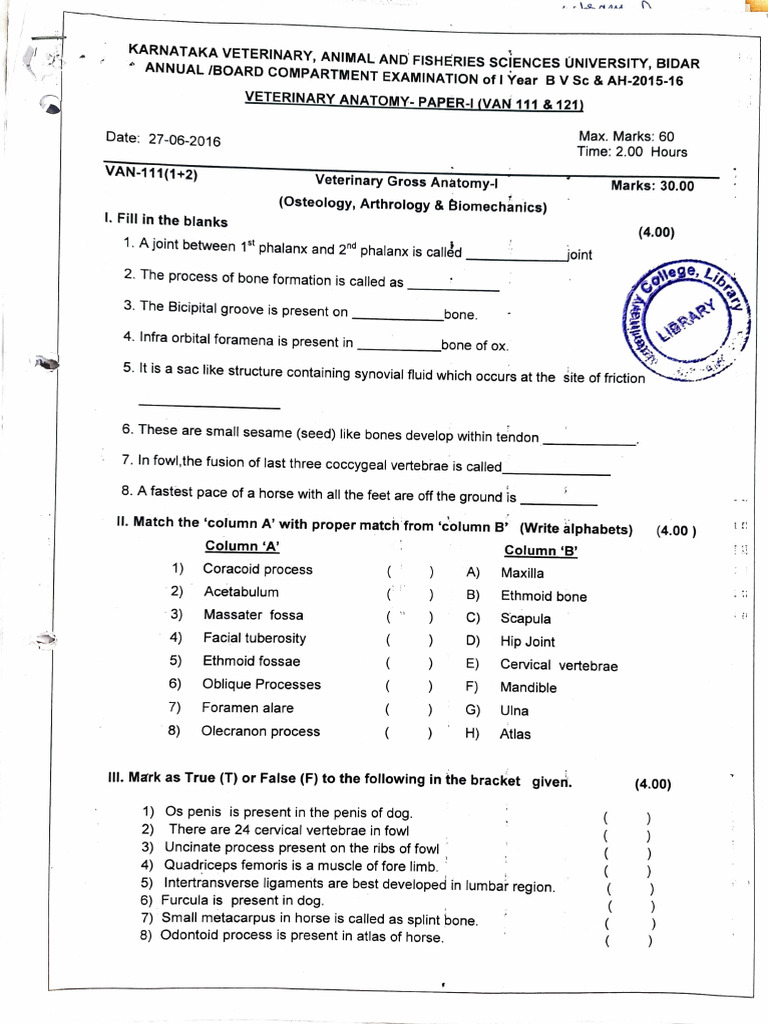 All Anatomy Paper of Veterinary | PDF