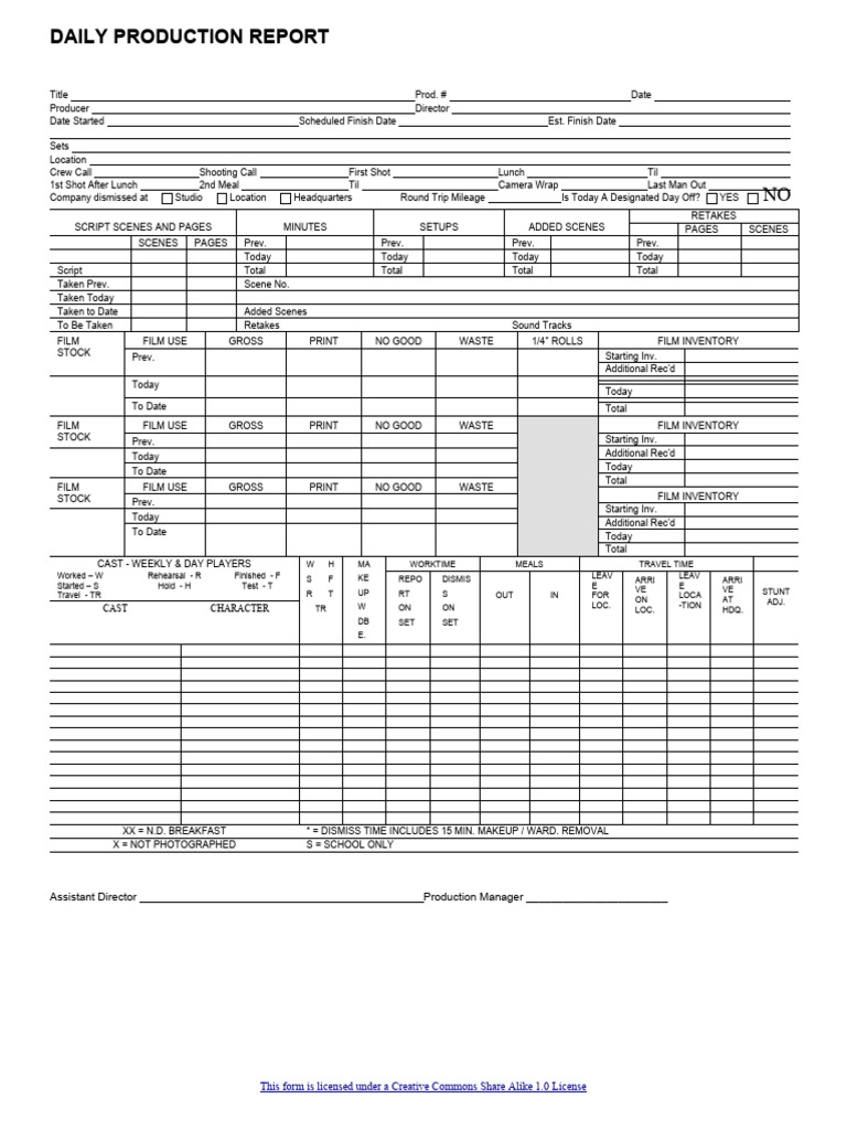 Daily Production Report | PDF