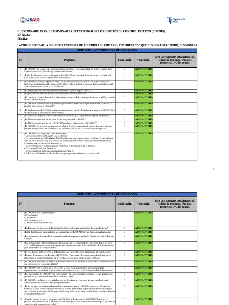 Efectividad de Los Cocoin | PDF | Auditoría | Evaluación